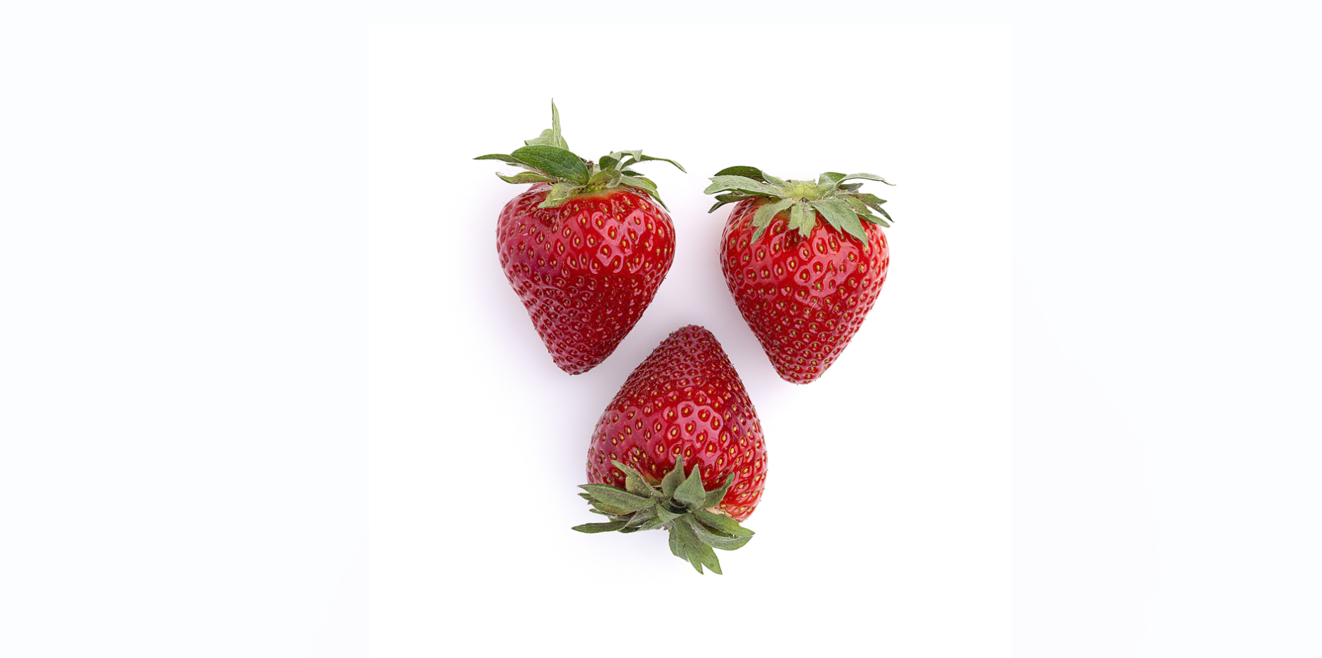 Fresh Forward |Strawberry | Varieties | Apples | Breeding | Marketing ...