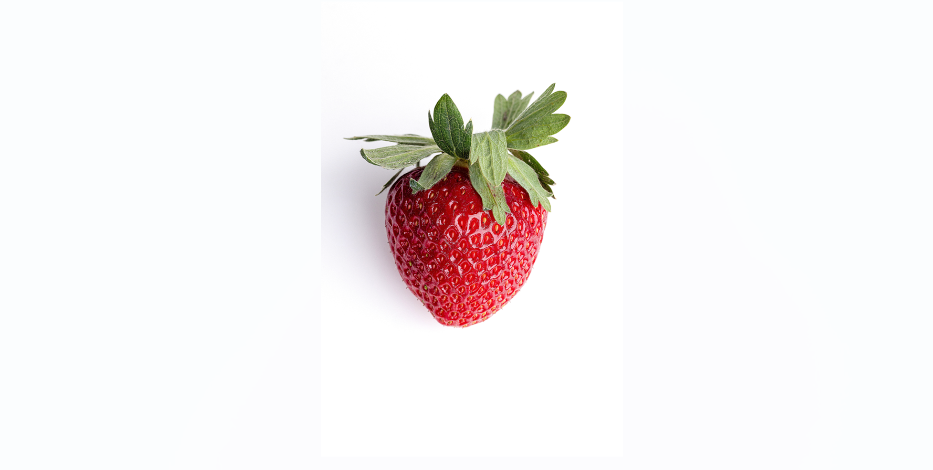 Fresh Forward |Strawberry | Varieties | Apples | Breeding | Marketing ...