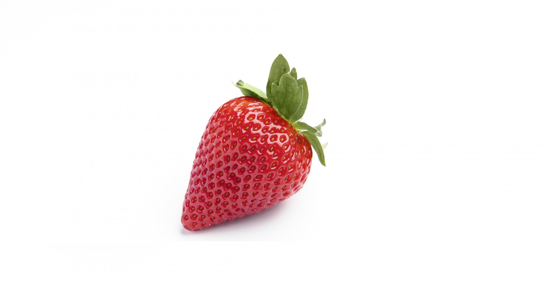Fresh Forward |Strawberry | Varieties | Apples | Breeding | Marketing ...