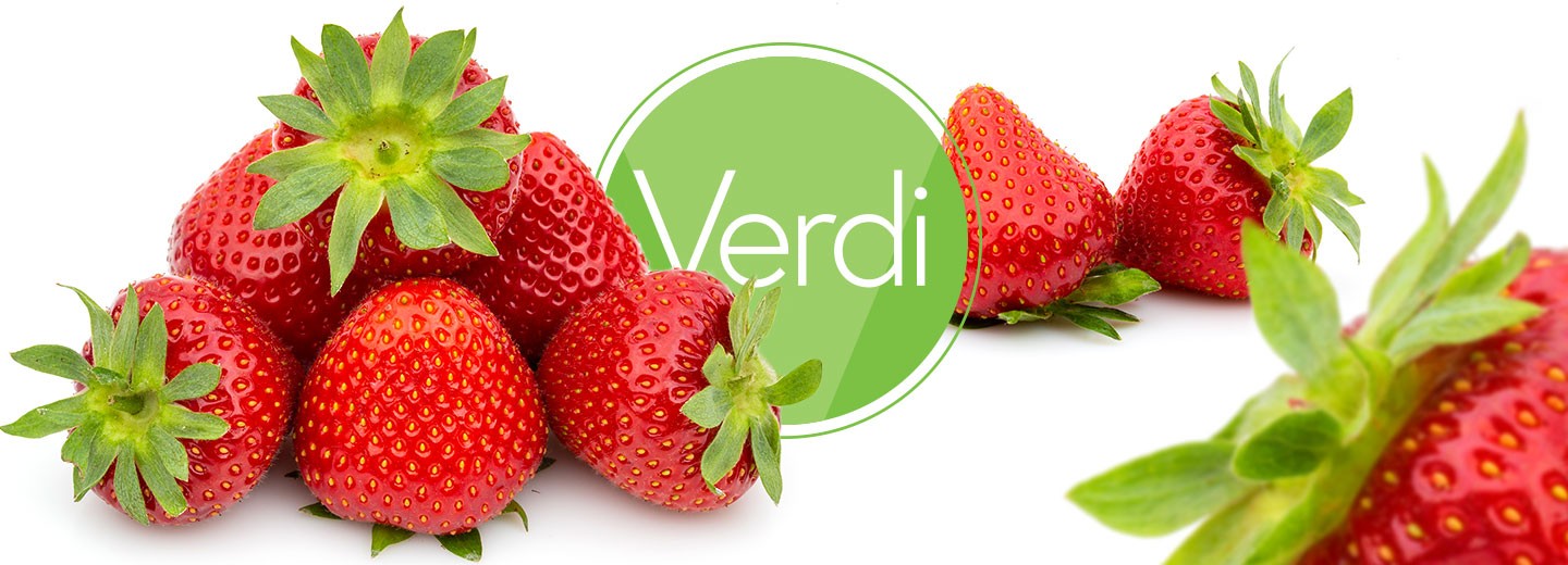 Fresh Forward |Strawberry | Varieties | Apples | Breeding | Marketing ...